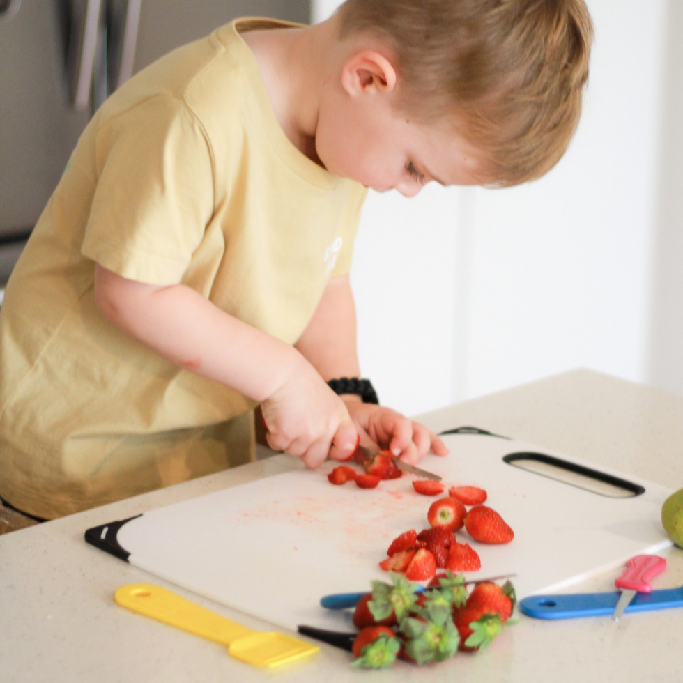 Kiddies Food Kutter USA